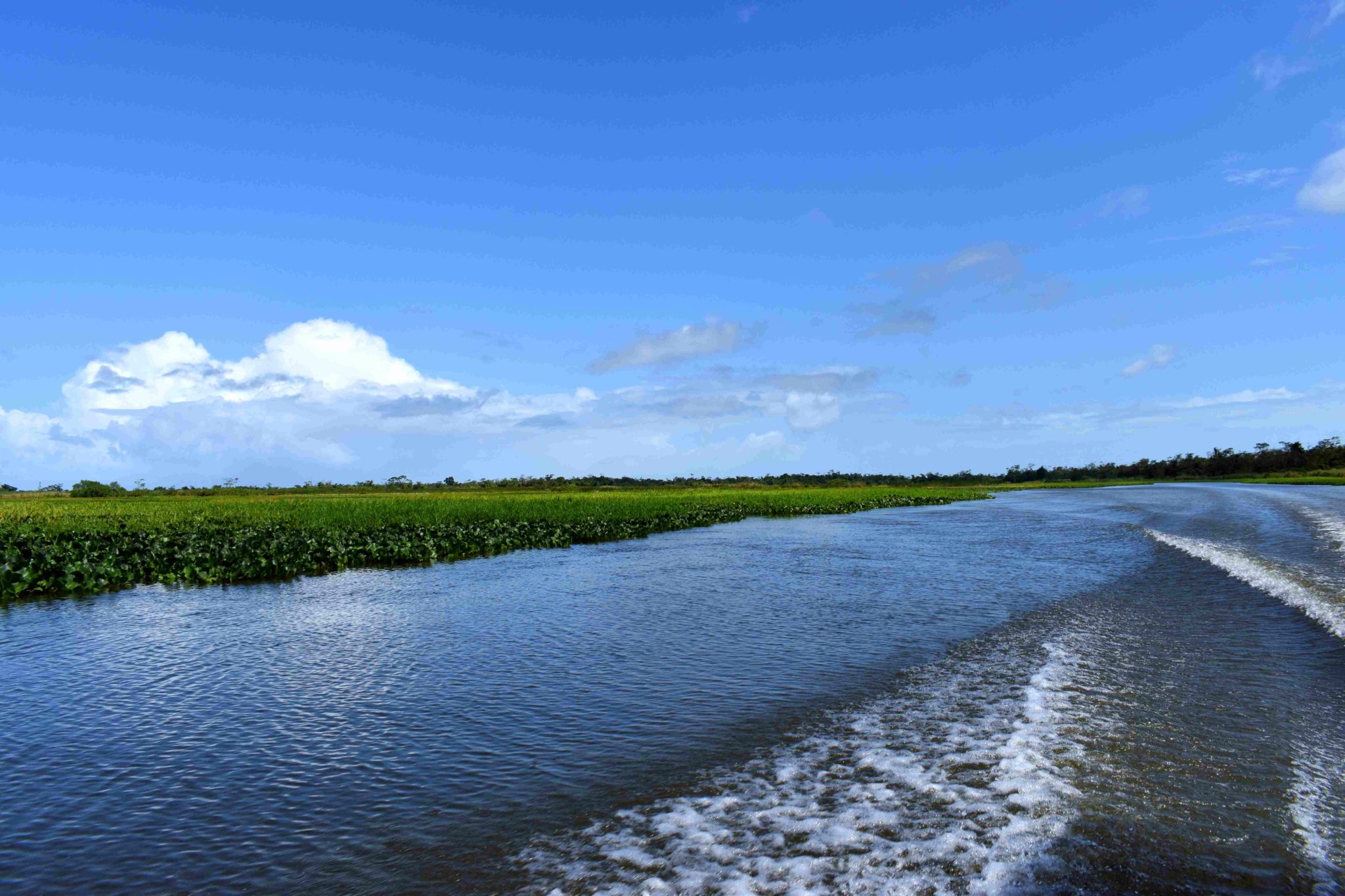 En route pour le Rio Indio Lodge - Slow Tourisme Costa Rica